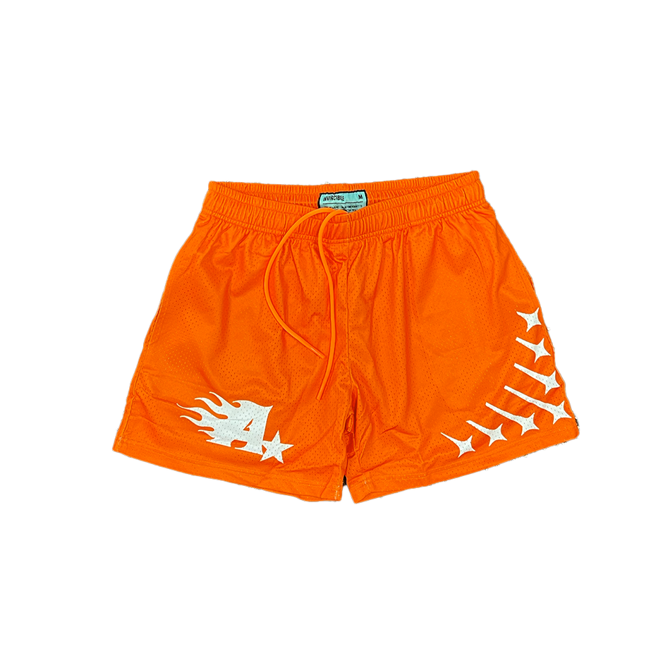 CITY TOUR – Invincible Exclusives