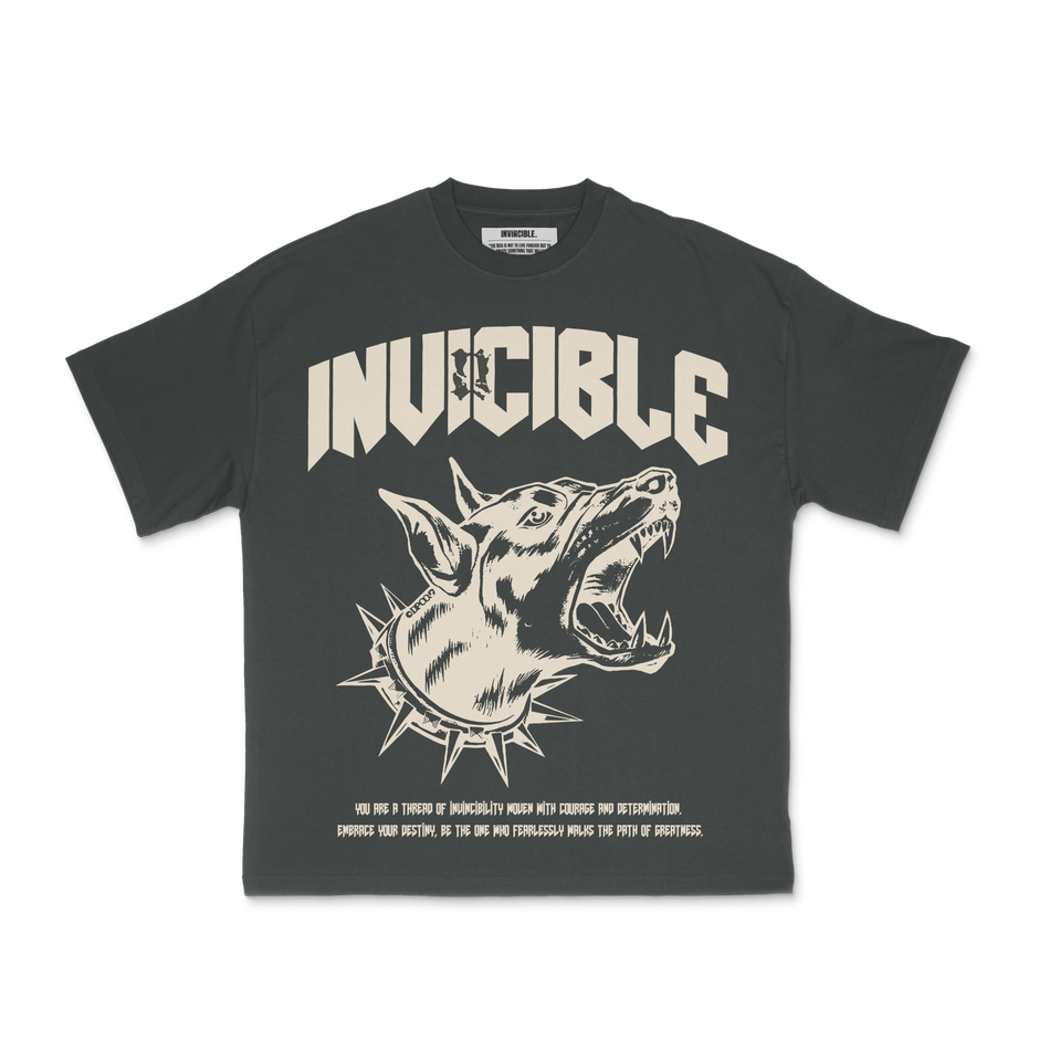 Invincible [Exclusives] - Streetwear designed in Detroit – Invincible ...